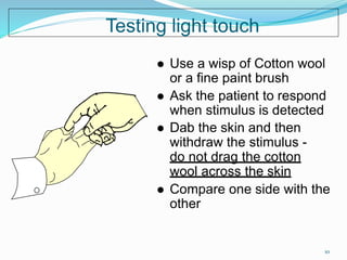 sensory-examination.pdf