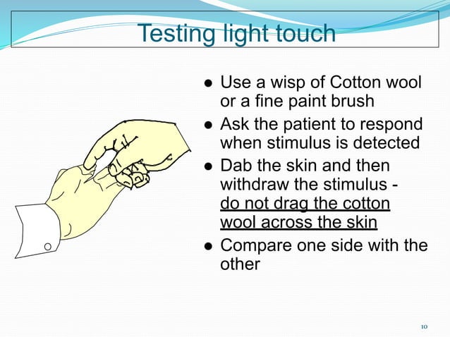 sensory-examination.pdf