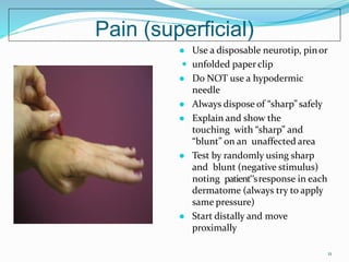 sensory-examination.pdf