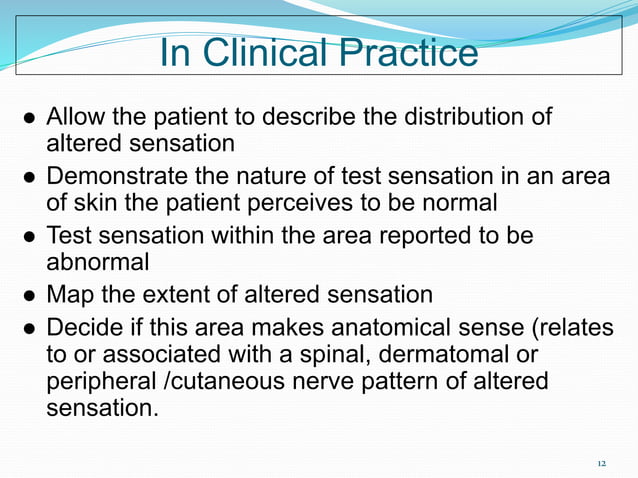 sensory-examination.pdf