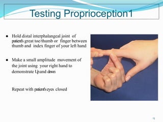 sensory-examination.pdf