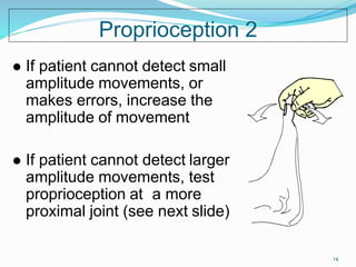 sensory-examination.pdf