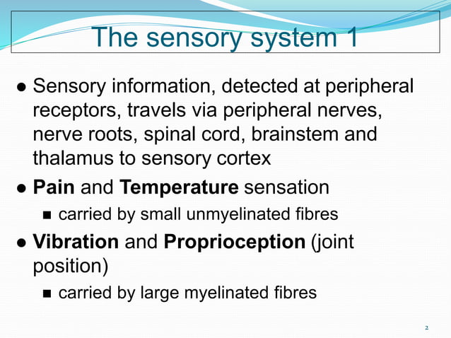 sensory-examination.pdf