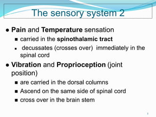sensory-examination.pdf