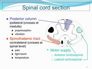 sensory-examination.pdf