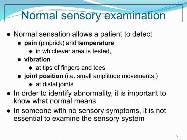 sensory-examination.pdf