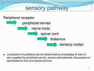 sensory-examination.pdf