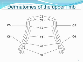 sensory-examination.pdf