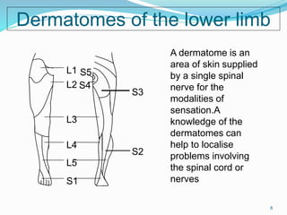 sensory-examination.pdf