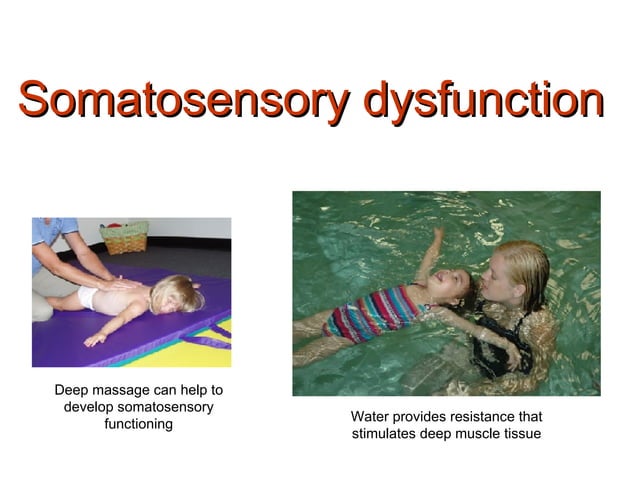 Sensory Integration Dysfunction | PPT