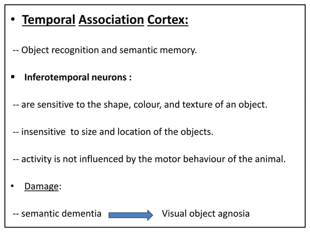 Sensory motor processing in planning and execution of movement | PPTX
