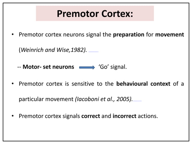 Sensory motor processing in planning and execution of movement | PPTX