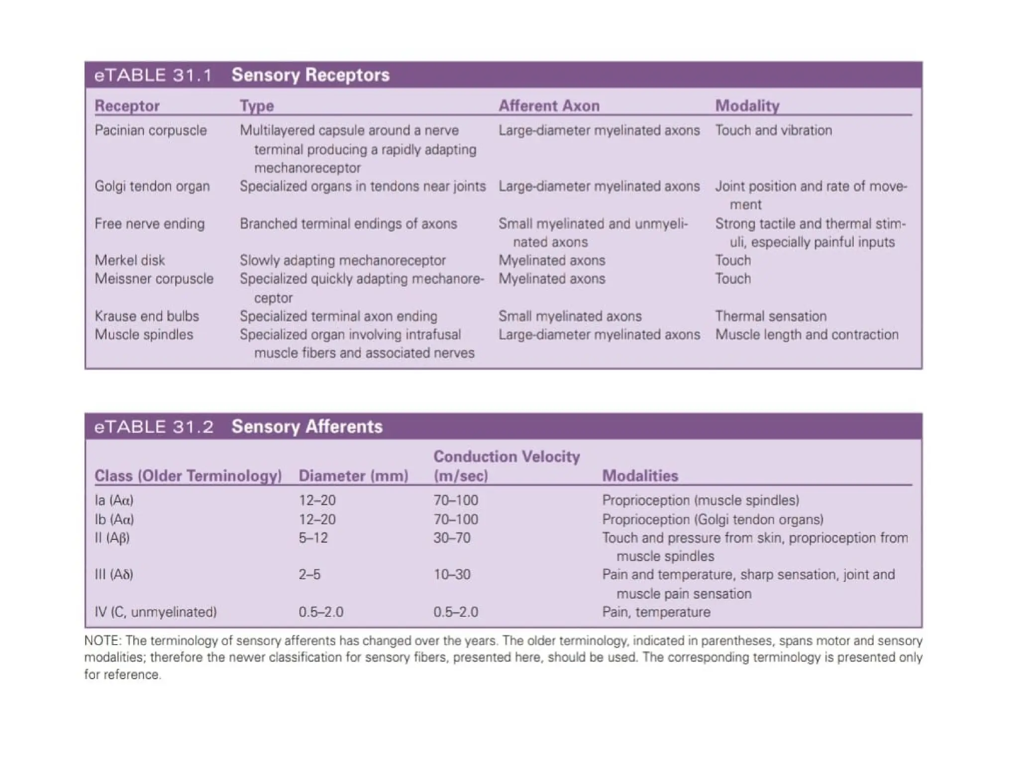 SENSORY ABNORMALITIES in diagnosis of neurological diseases | PPT