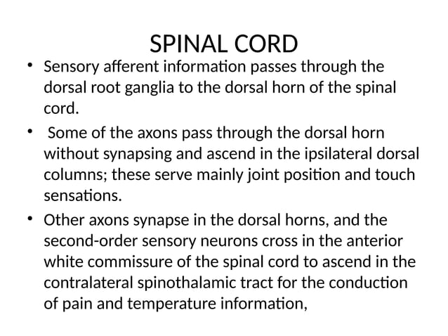 SENSORY ABNORMALITIES in diagnosis of neurological diseases | PPT