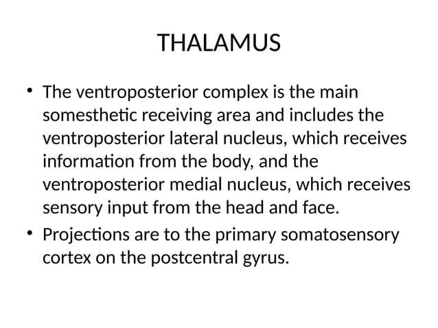 SENSORY ABNORMALITIES in diagnosis of neurological diseases | PPT