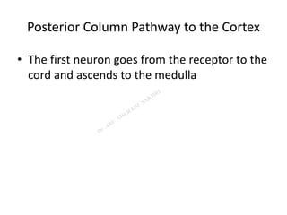 Sensory and motor pathways | PPT