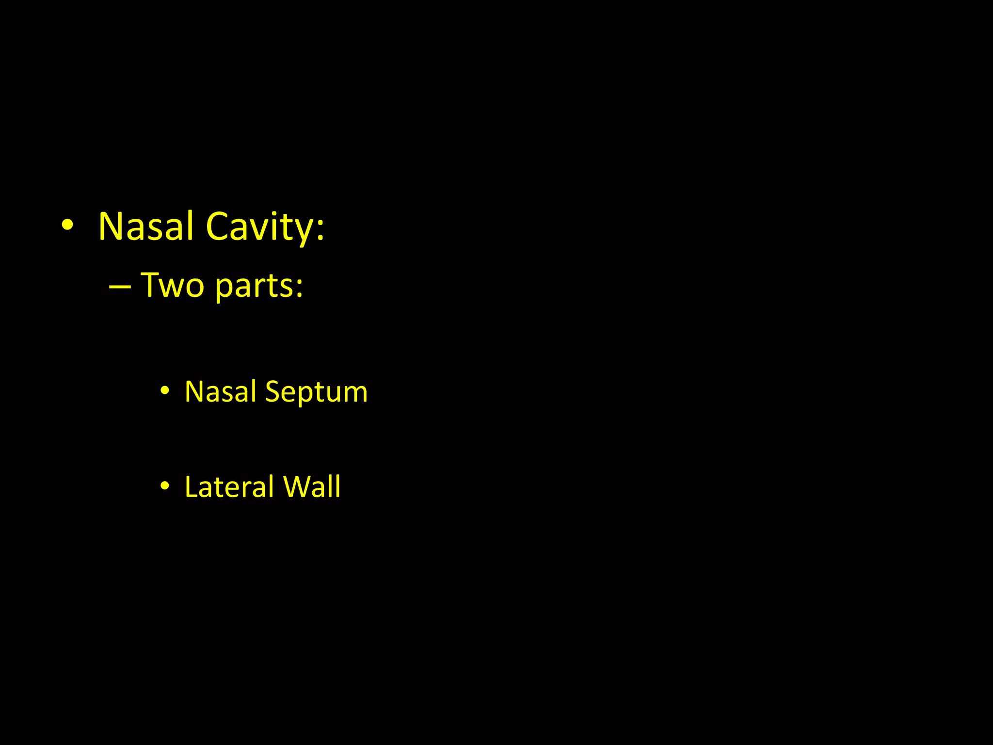 Sensory and motor innervation of upper airway | PPTX