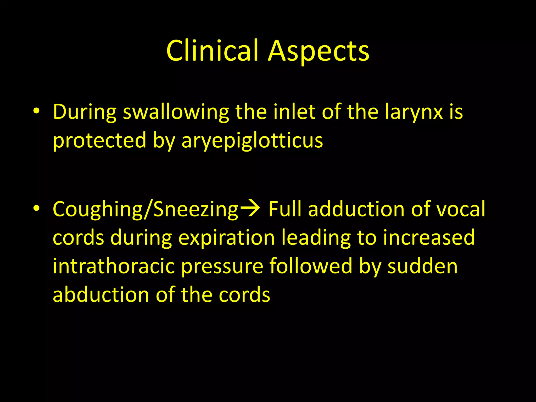 Sensory and motor innervation of upper airway | PPTX