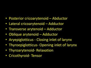 Sensory and motor innervation of upper airway | PPTX