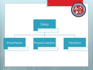 SENSORY ASSESSMENT.pdf
