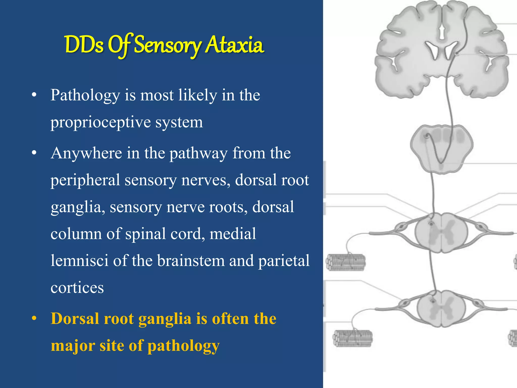 Sensory ataxia | PPTX
