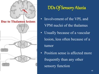 Sensory ataxia | PPTX