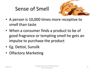 Sensory branding | PPT