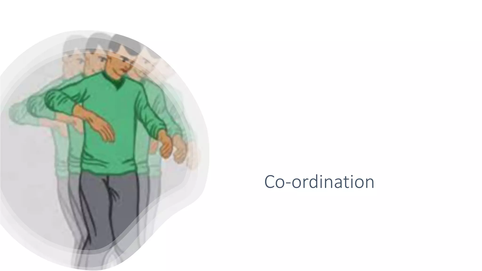 Sensory, coordination & gait Examination for Undergrad | PPTX