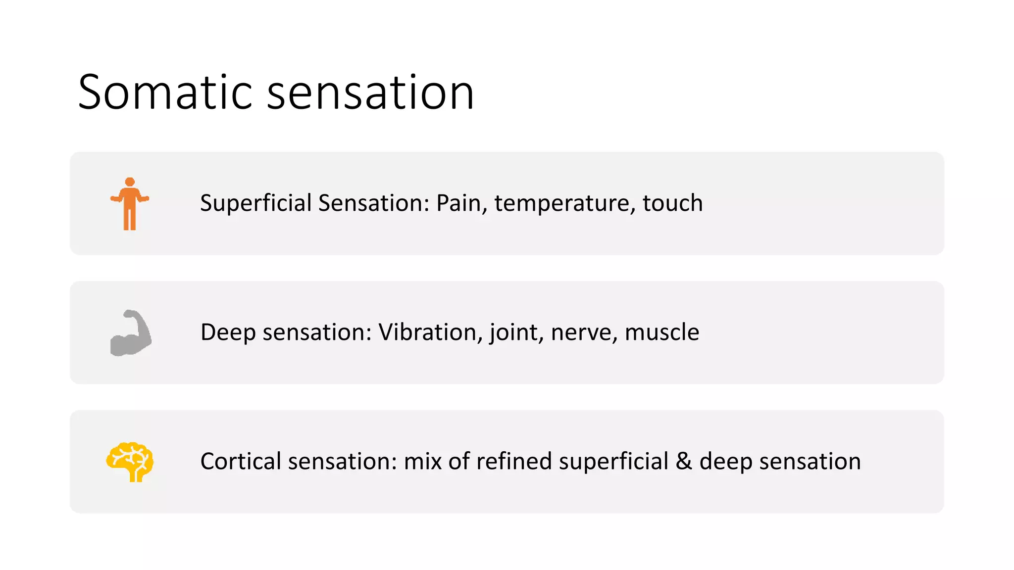 Sensory, coordination & gait Examination for Undergrad | PPTX