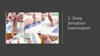 Sensory, coordination & gait Examination for Undergrad | PPTX