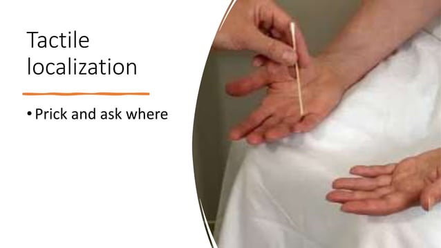 Sensory, coordination & gait Examination for Undergrad | PPTX