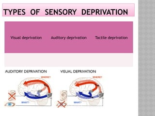 Sensory deprivation | PDF