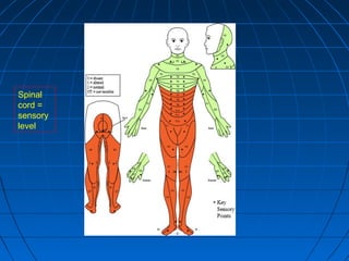 Sensory Disturbance Feb 2016 | PPT
