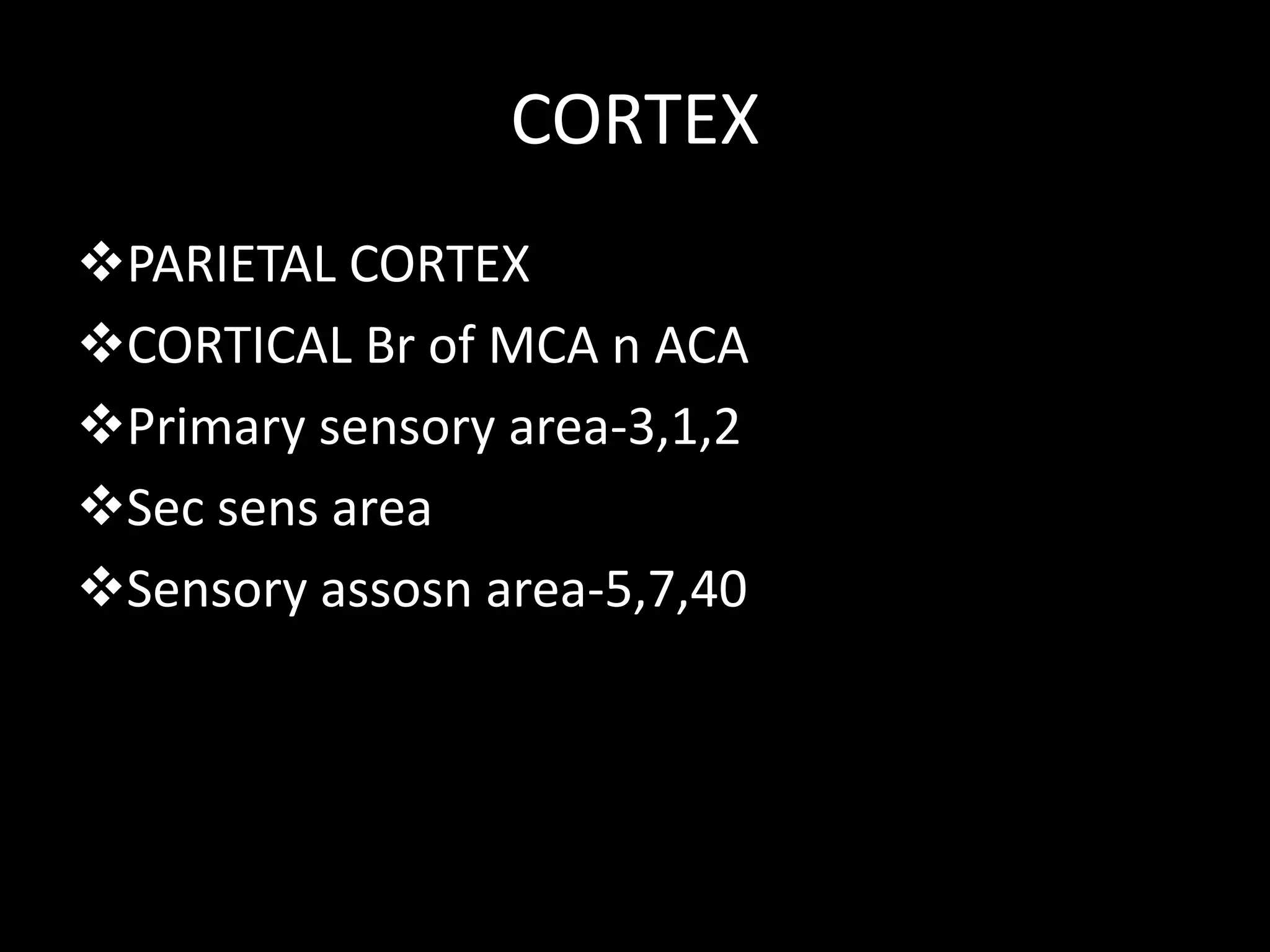 Sensory disturbances at the level of thalamus and cortex | PPTX