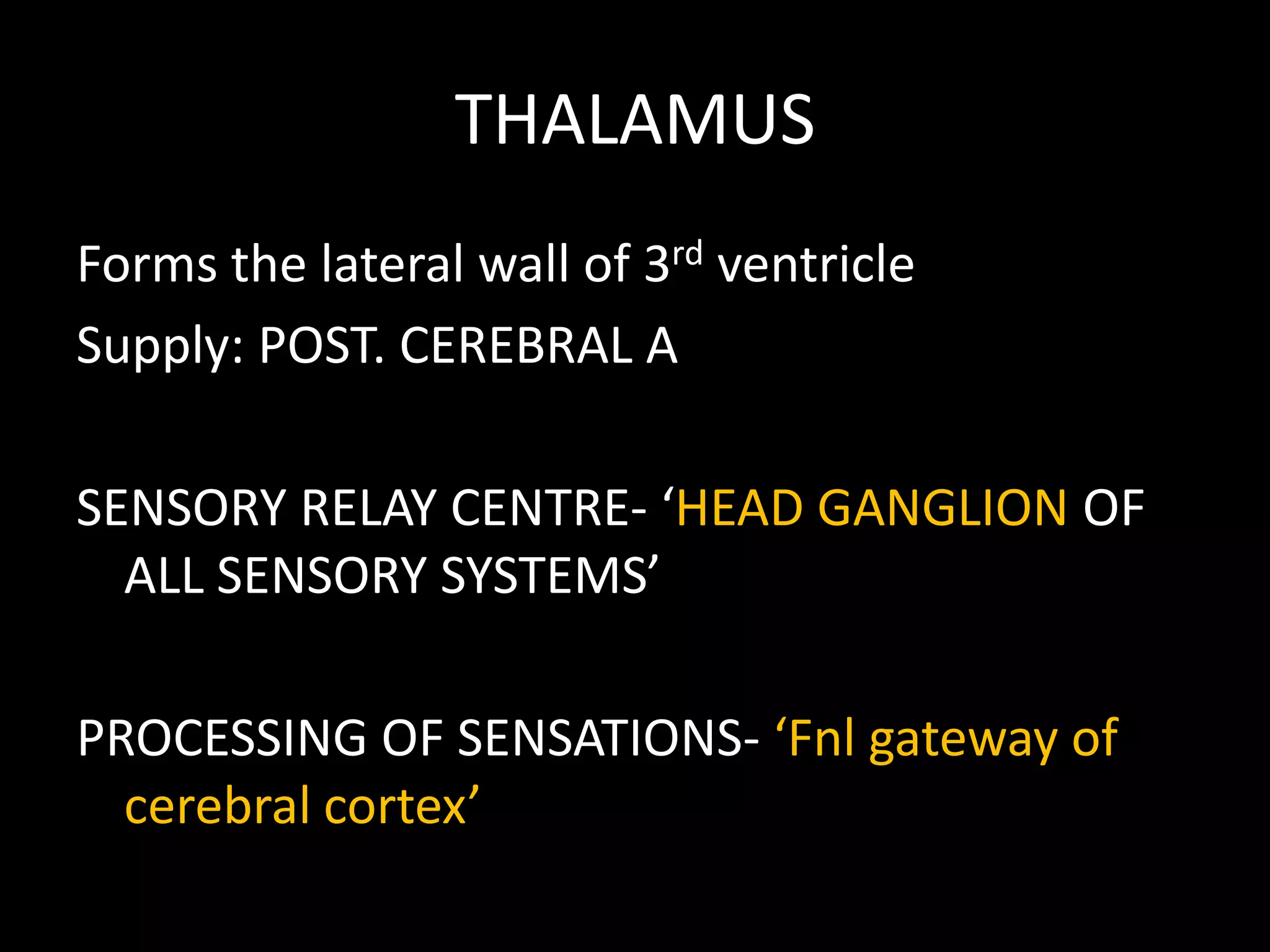 Sensory disturbances at the level of thalamus and cortex | PPTX | Brain ...