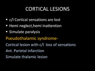 Sensory disturbances at the level of thalamus and cortex | PPTX | Brain ...
