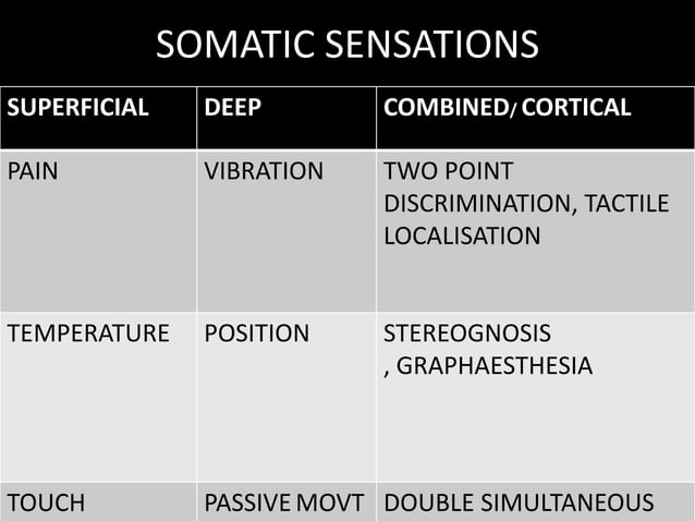 Sensory disturbances at the level of thalamus and cortex | PPTX | Brain ...