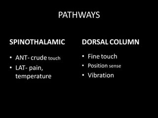 Sensory disturbances at the level of thalamus and cortex | PPTX