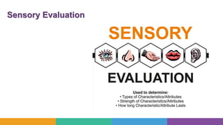 Sensory Evaluation.pptx
