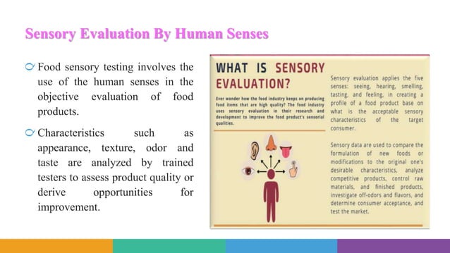 Sensory Evaluation.pptx