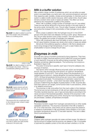 DAIRY PROCESSING HANDBOOK | PDF