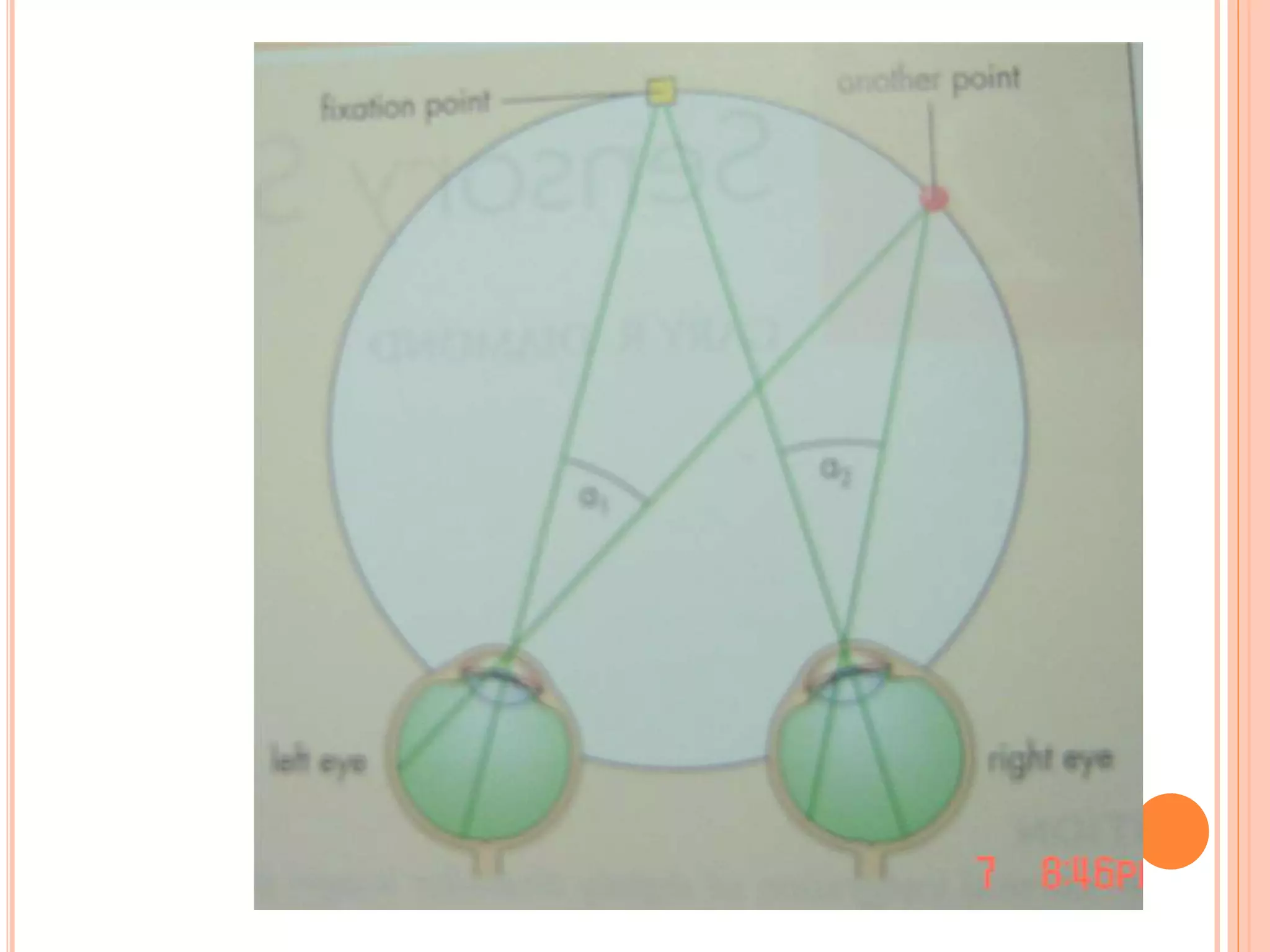 Sensory evaluation of squint | PPTX