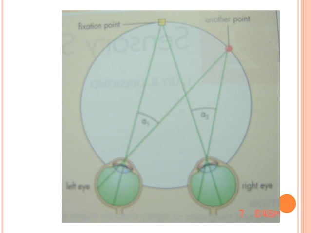 Sensory evaluation of squint | PPTX | Eye and Vision Conditions ...