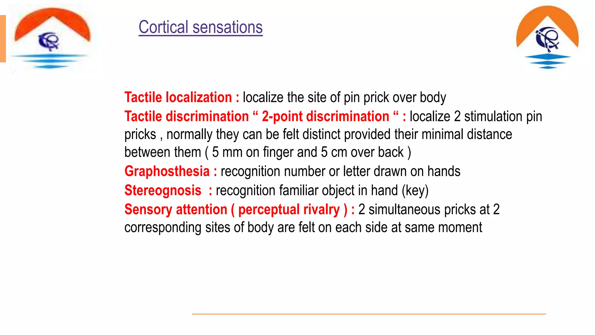 sensory system examination | PPTX