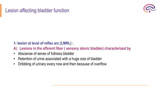 sensory examination, speech , neurogenic bladder | PPT
