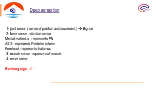 sensory examination, speech , neurogenic bladder | PPT