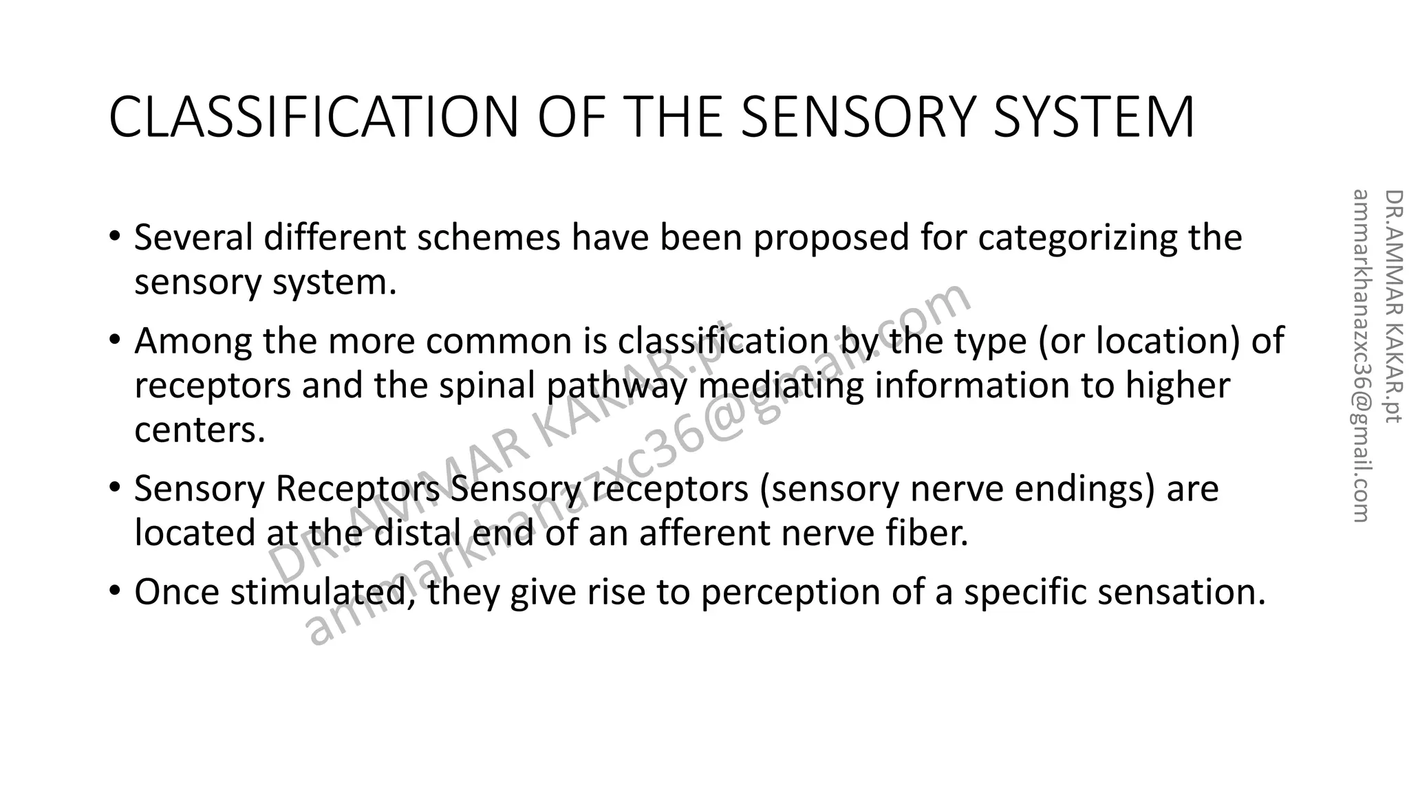 Sensory system (neurological) examination o sulivan.pptx
