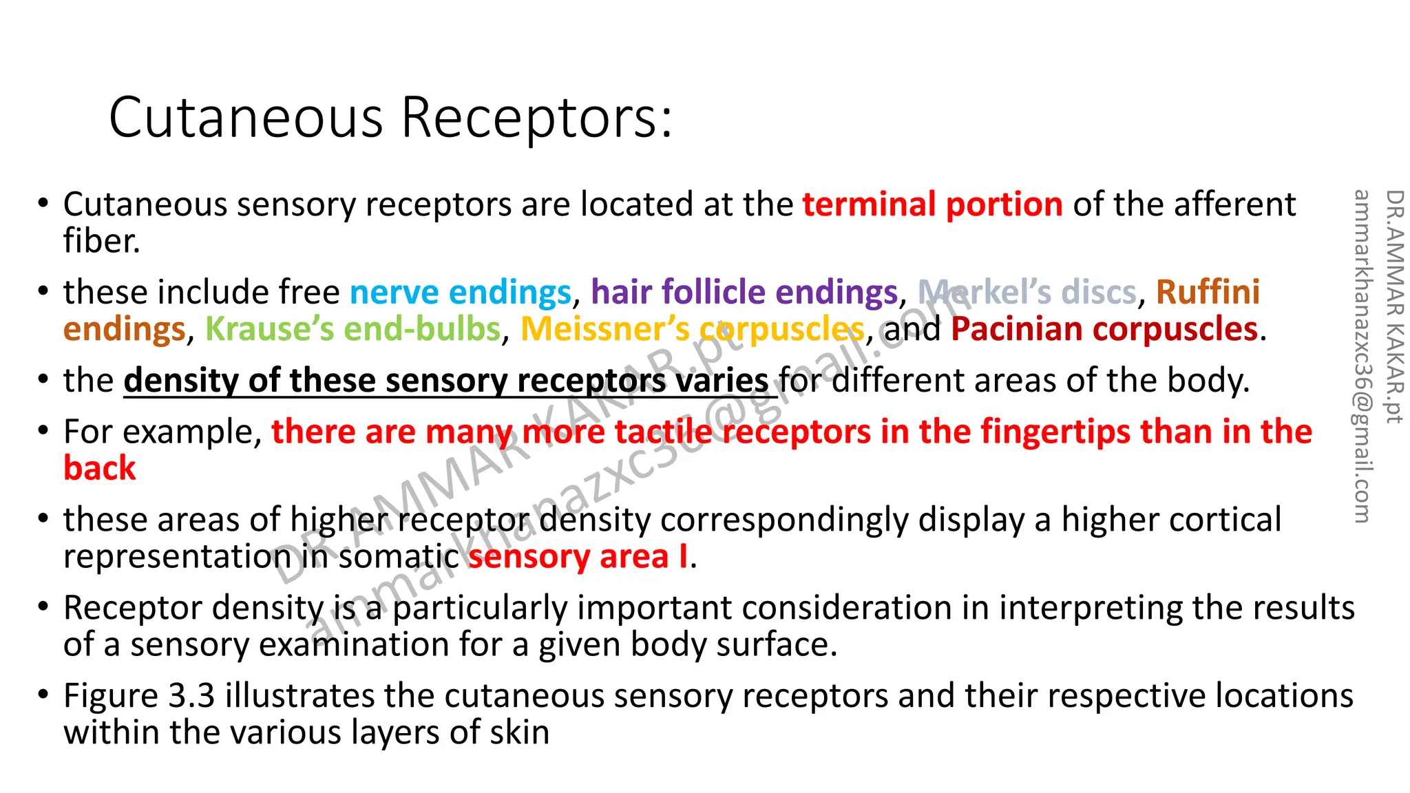 Sensory system (neurological) examination o sulivan.pptx