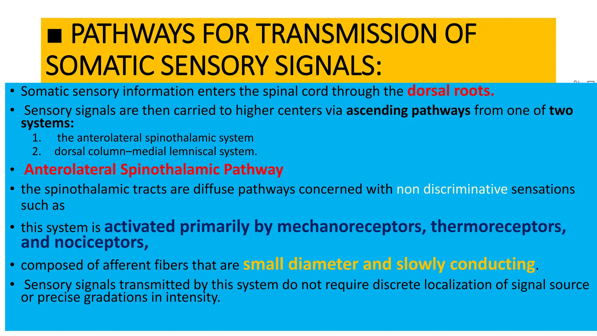 Sensory system (neurological) examination o sulivan.pptx