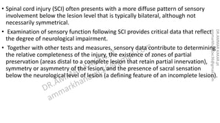 Sensory system (neurological) examination o sulivan.pptx